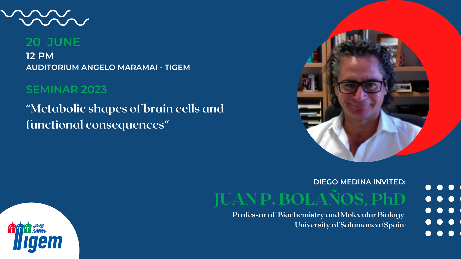 Juan P. Bolanos, PhD - "Metabolic shapes of brain cells and functional ...